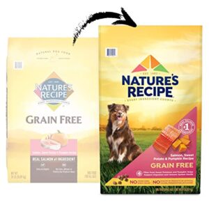 Nature’s Recipe Grain Free Salmon, Sweet Potato & Pumpkin Recipe Dry Dog Food, 24 lb. Bag