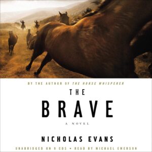 the brave: a novel