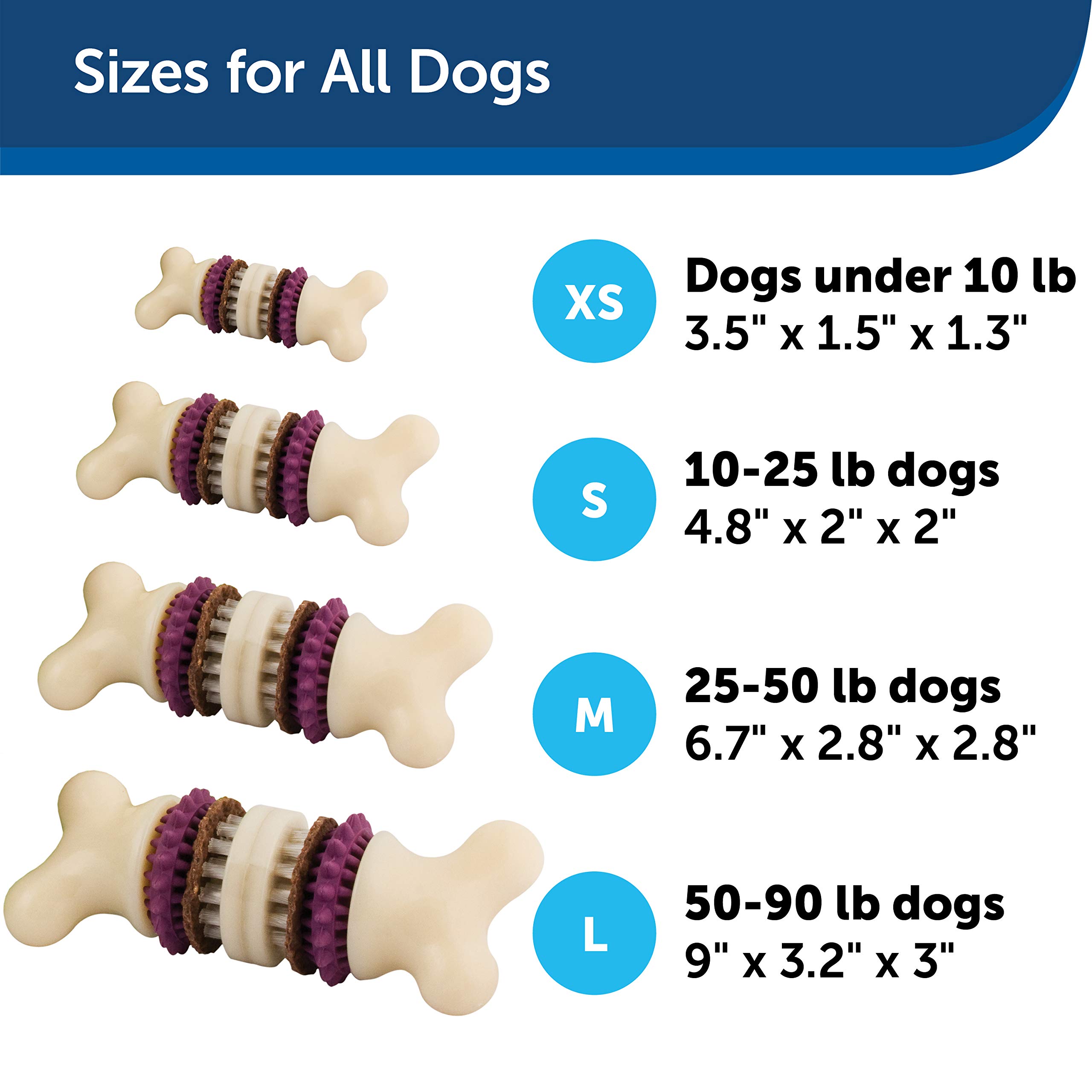 PetSafe Busy Buddy Bristle Bone - Treat-Holding Toy for Dogs - Treat Rings Included - Treats Thoroughly Mixed During Bake to Prevent Choking - Rigorously Tested Ingredients - Purple, Small