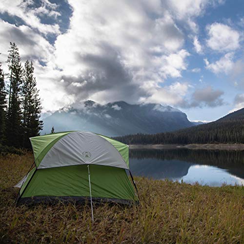 Coleman 4-Person Sundome Tent, Palm Green