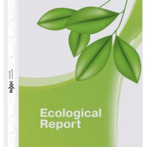 Rexel Ecodesk A5 Punched Pockets, Pack of 30, 100% Recyclable, Made of 80% Recycled Material, Eco Friendly, Embossed mat Surface, 2102579, Clear