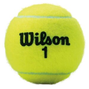 Wilson Championship Extra Duty Tennis Ball Case