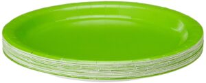 creative converting 24 count touch of color paper dessert plates, fresh lime