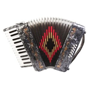 Rossetti Accordion (ROS2512-GY)