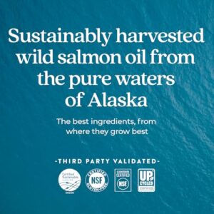 New Chapter Wholemega Fish Oil Supplement - Wild Alaskan Salmon Oil with Omega-3 + Vitamin D3 + Astaxanthin + Sustainably Caught - 180 ct, 1000mg Softgels