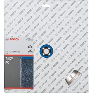 Bosch 2608602602 Standard for Stone Diamond Cutting Disc, 300mm Ø, 20/25.40mm x 3.1mm x 10mm, Silver/Grey