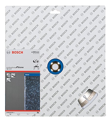 Bosch 2608602602 Standard for Stone Diamond Cutting Disc, 300mm Ø, 20/25.40mm x 3.1mm x 10mm, Silver/Grey