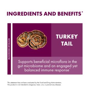 Host Defense Turkey Tail Capsules - Digestive Health & Immune Response Support Supplement - Mushroom Supplement for Gastrointestinal & Gut Microbiome Support - 120 Capsules (60 Servings)*