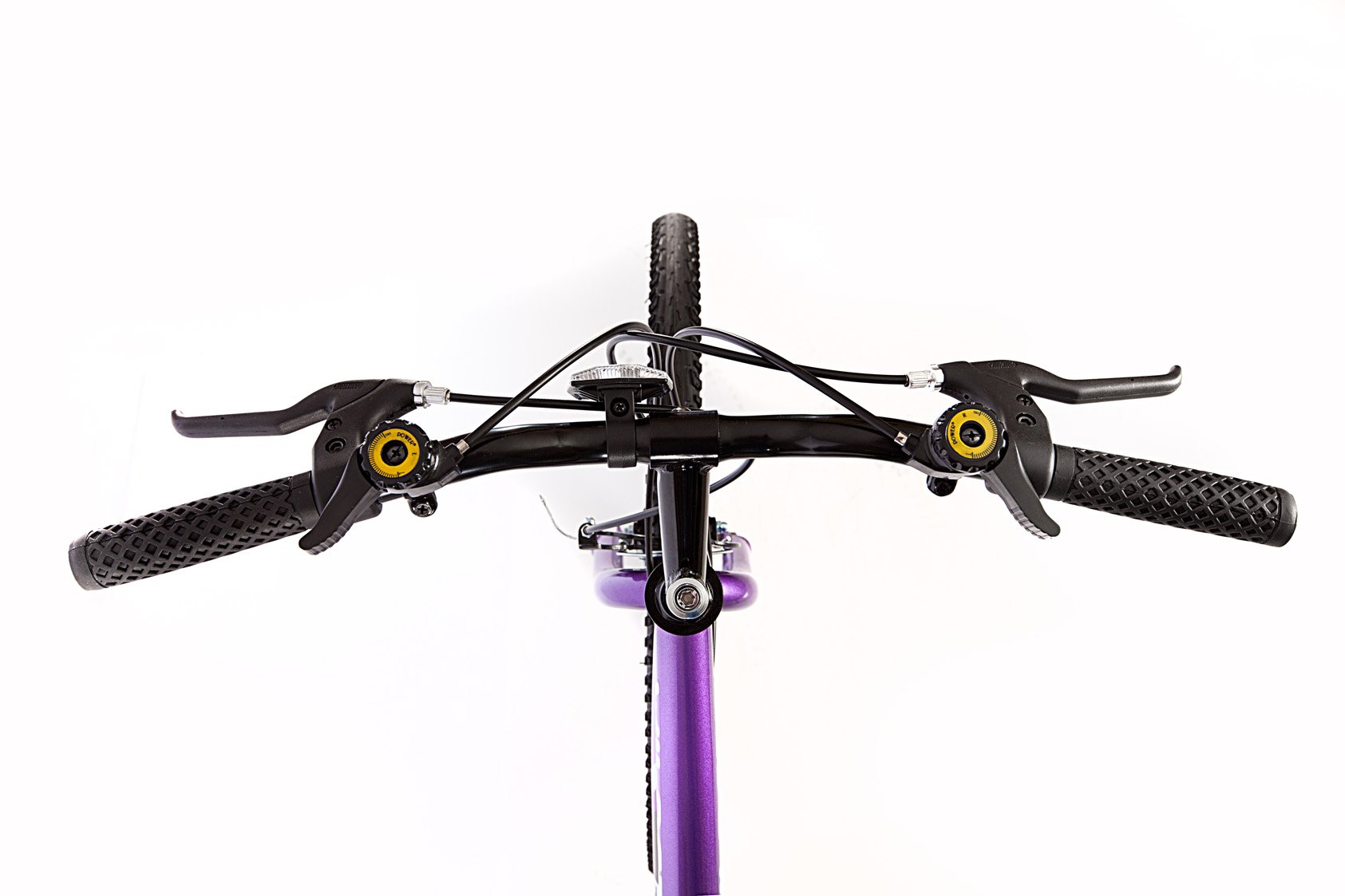 Titan Wildcat Ladies Mountain Bike (Purple/Black, 26-inch)