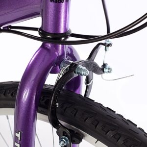 Titan Wildcat Ladies Mountain Bike (Purple/Black, 26-inch)