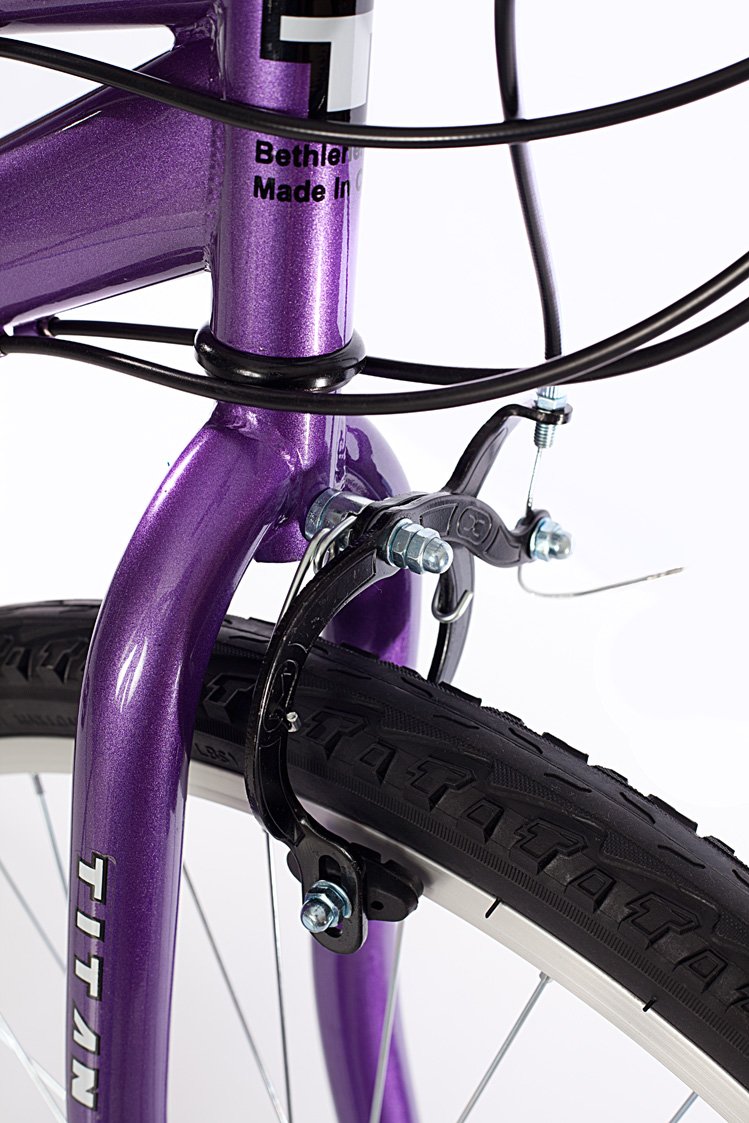 Titan Wildcat Ladies Mountain Bike (Purple/Black, 26-inch)