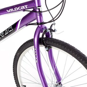 Titan Wildcat Ladies Mountain Bike (Purple/Black, 26-inch)