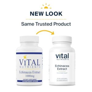 Vital Nutrients - Echinacea Extract - Immune System Support - 60 Vegetarian Capsules per Bottle - 1000 mg