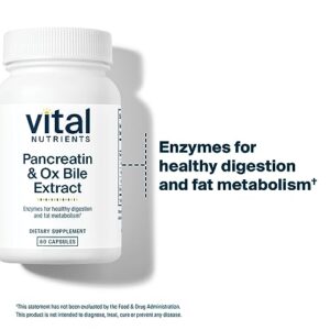 Vital Nutrients Pancreatin & Ox Bile Extract 500mg | Natural Digestive Enzymes for Women & Men | Supports Digestion of Protein, Fat, and Carbohydrates*| Gluten, Dairy & Soy Free | 60 Capsules