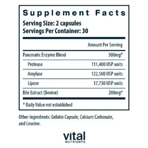 Vital Nutrients Pancreatin & Ox Bile Extract 500mg | Natural Digestive Enzymes for Women & Men | Supports Digestion of Protein, Fat, and Carbohydrates*| Gluten, Dairy & Soy Free | 60 Capsules