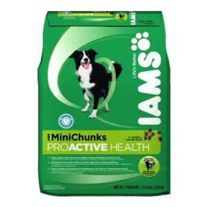 proactive health adult dog minichunks, 17.5-pound