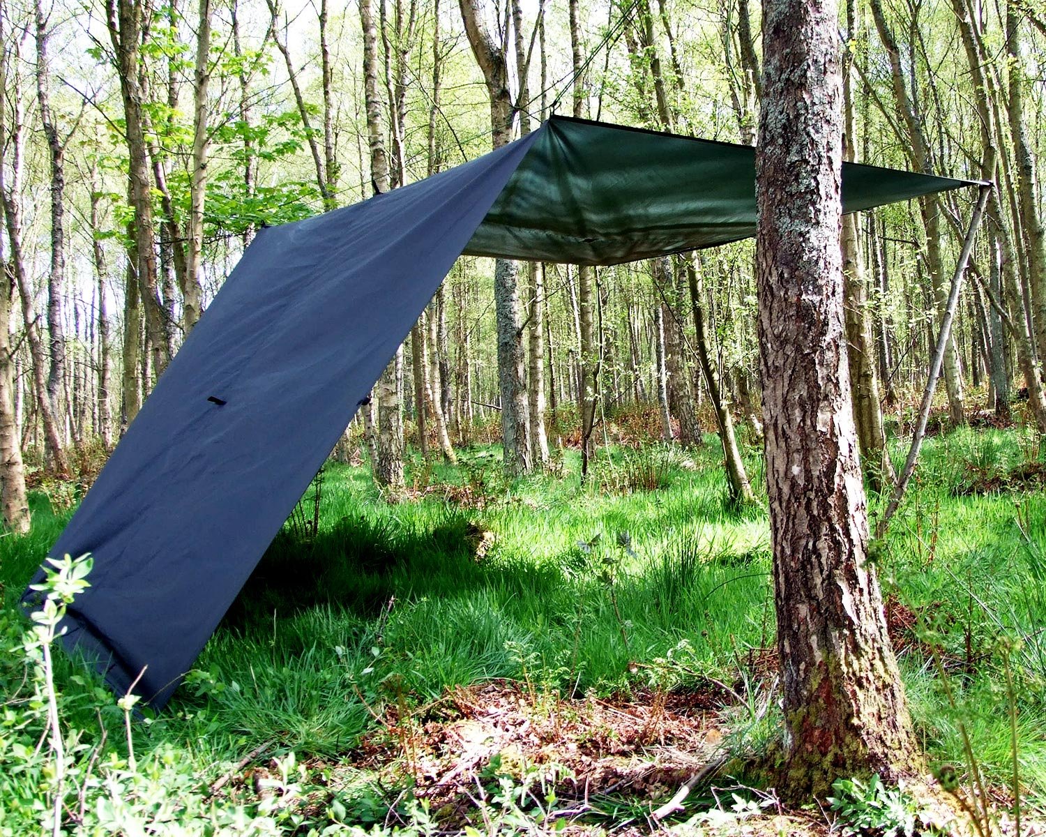 DD Hammocks - DD Tarp XL - Olive Green (15ft x 10ft) - 100% Waterproof Lightweight & Multifunctional Rainfly Extra Large Tarp Tent Shelter for Camping Bushcraft & Hiking Adventure