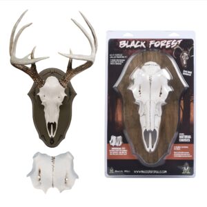 mountain mikes black forest antler mounting kit - traditional half-skull deer mounting kit - compatible with harvested and shed antlers - universal rustic home decor inspired by the great outdoors