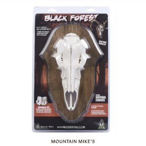 Mountain Mikes Black Forest Antler Mounting Kit - Traditional Half-Skull Deer Mounting Kit - Compatible with Harvested and Shed Antlers - Universal Rustic Home Decor Inspired by The Great Outdoors