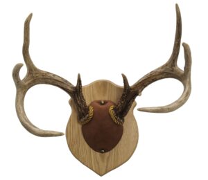 walnut hollow country antler mount & display kit, oak , brown