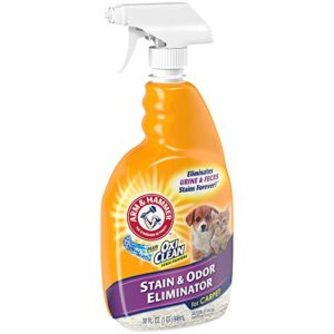 Arm & Hammer Pet Stain and Odor Eliminator, 32 Fl Oz (Pack of 2)