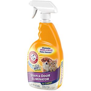 Arm & Hammer Pet Stain and Odor Eliminator, 32 Fl Oz (Pack of 2)