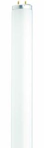 sylvania 2 ft. 20-watt linear t12 fluorescent tube light bulb, cool white (1-bulb)