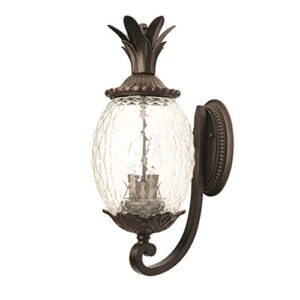 acclaim 7501bc lanai collection 2-light wall mount outdoor light fixture, black coral