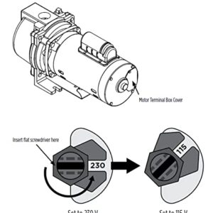 Red Lion 97101001 RL-SPRK100 Sprinkler Pump with Thermoplastic Impeller, 1 HP, 63 GPM, 115/230 Volt, Red