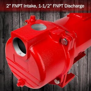 Red Lion 97101001 RL-SPRK100 Sprinkler Pump with Thermoplastic Impeller, 1 HP, 63 GPM, 115/230 Volt, Red