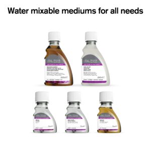 Winsor & Newton Artisan Water Mixable Painting Medium, 75ml