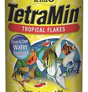 Tetramin Tropical Staple Flakes 2.2 Ounces