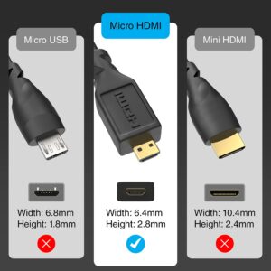 BlueRigger Micro HDMI to HDMI Cable 10FT, 4K 60Hz, HDR, High Speed, Ethernet - Compatible with GoPro Hero 7/6/5/4, Raspberry Pi 4, Sony A6000/A6300 Camera, Nikon B500, Lenovo Yoga 3 Pro, Yoga 710