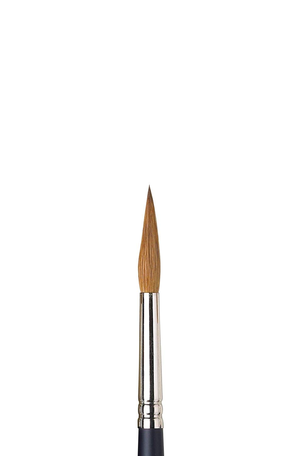 Winsor & Newton Professional Watercolour Sable Brush, Pointed Round #8