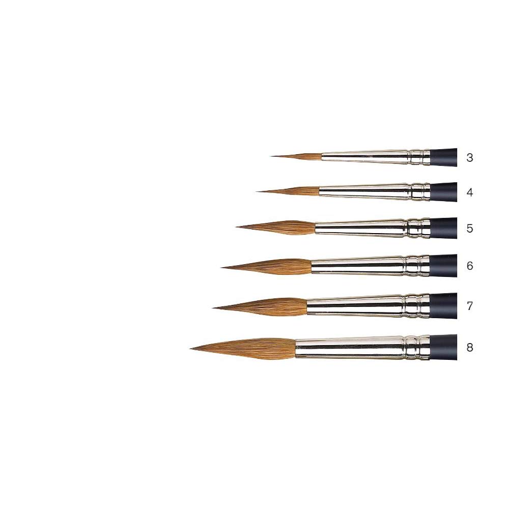 Winsor & Newton Professional Watercolour Sable Brush, Pointed Round #8