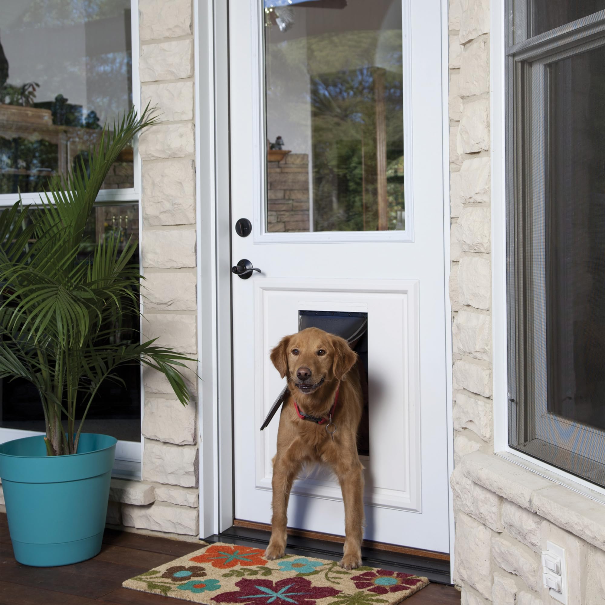 PetSafe Single Panel Replacement Pet Door Insert with Paintable Frame Specifically Designed for Panel Doors, Durable Plastic Frame, Snap-On Closing Panel, for Dogs (up to 220 lbs)