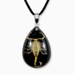 REALBUG Gold Scorpion Necklace, Black, Small