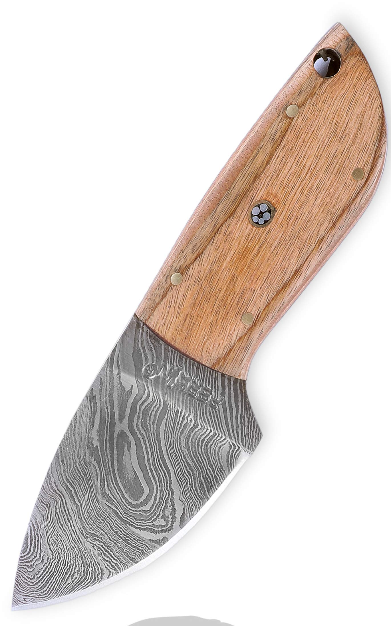 Now Handcrafted Small Hunting Knife - Damascus Steel - Neck Knife