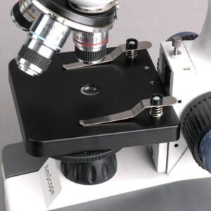 AmScope M150A Compound Monocular Microscope, WF10x and WF16x Eyepieces, 40x-640x Magnification, LED Illumination, Brightfield, Single-Lens Condenser, Coaxial Coarse and Fine Focus, Plain Stage, 110V