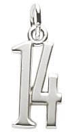 rembrandt charms number 14 charm, sterling silver