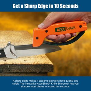 AccuSharp Knife Sharpener, Ergonomic Comfortable Handle, Compact & Easy to Use, Restore and Hone Straight & Serrated Knives, Blaze Orange