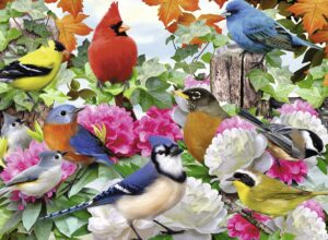 ravensburger garden birds jigsaw puzzle | 500 unique pieces | anti-glare surface | ideal for all ages for puzzle enthusiasts