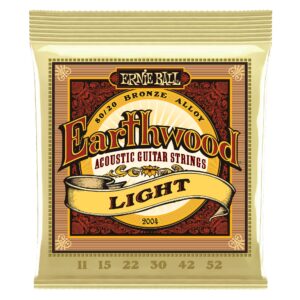 Ernie Ball Acoustic Guitar Strings - Earthwood 2006 80/20 - XL - 10-50 - 2 Pack