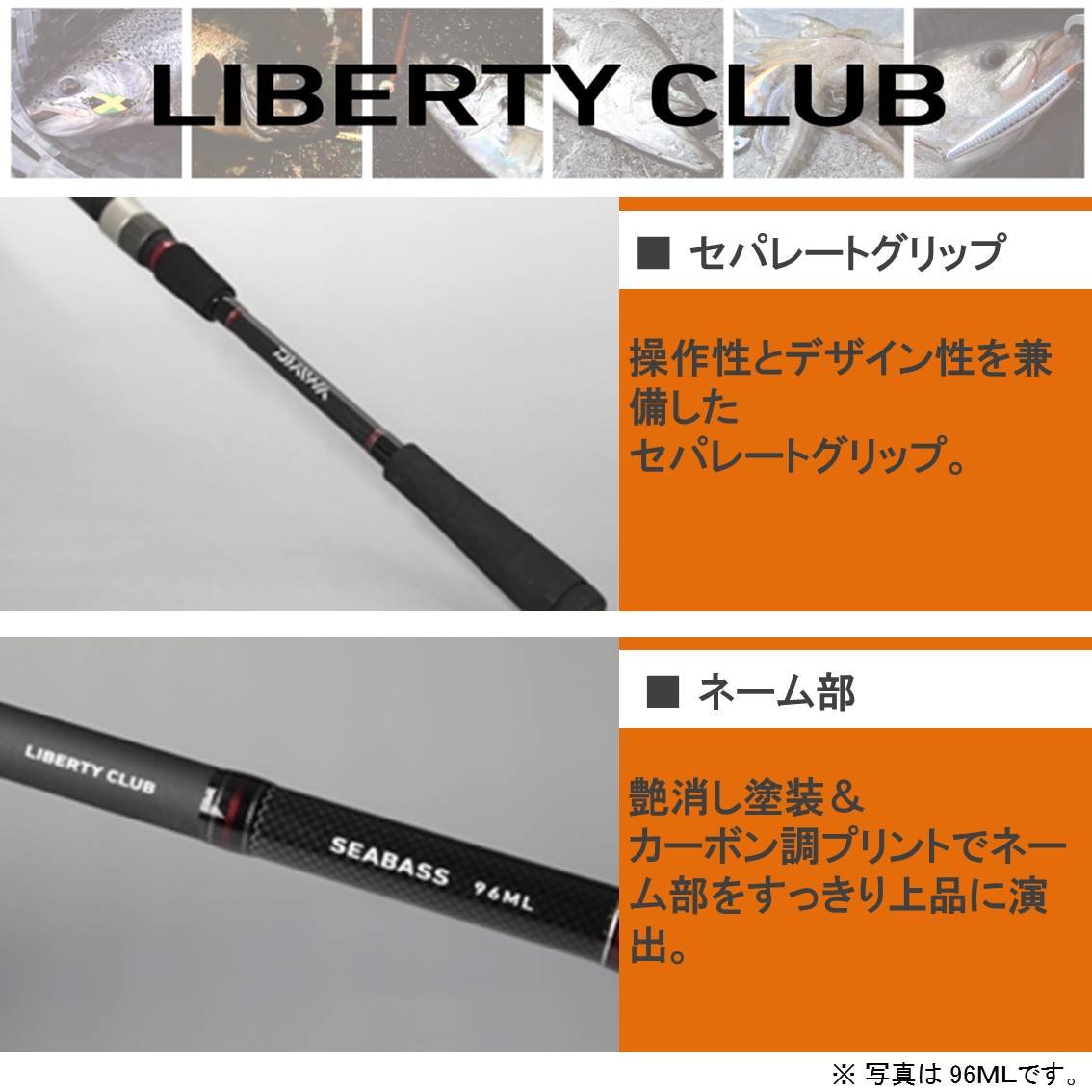 DAIWA LIBERTY CLUB SEABASS 96ML