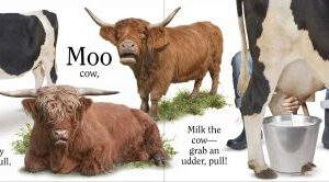 Moo