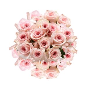 100 pink roses - fresh flowers