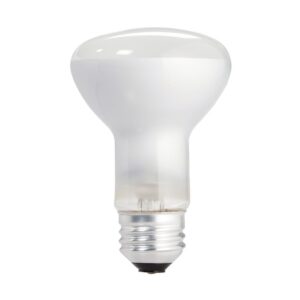 philips led indoor r20 flood light bulb: 2600-kelvin, 45-watt, medium screw base, soft white, 12-pack