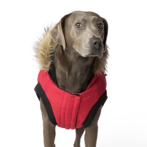 canada pooch | north pole parka (20 (19-21" back length), red)