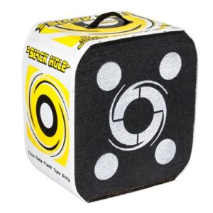 Field Logic Black Hole Archery Target 18"