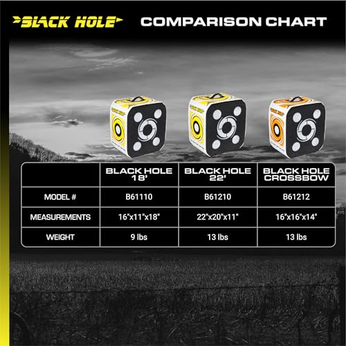 Field Logic Black Hole Archery Target 18"